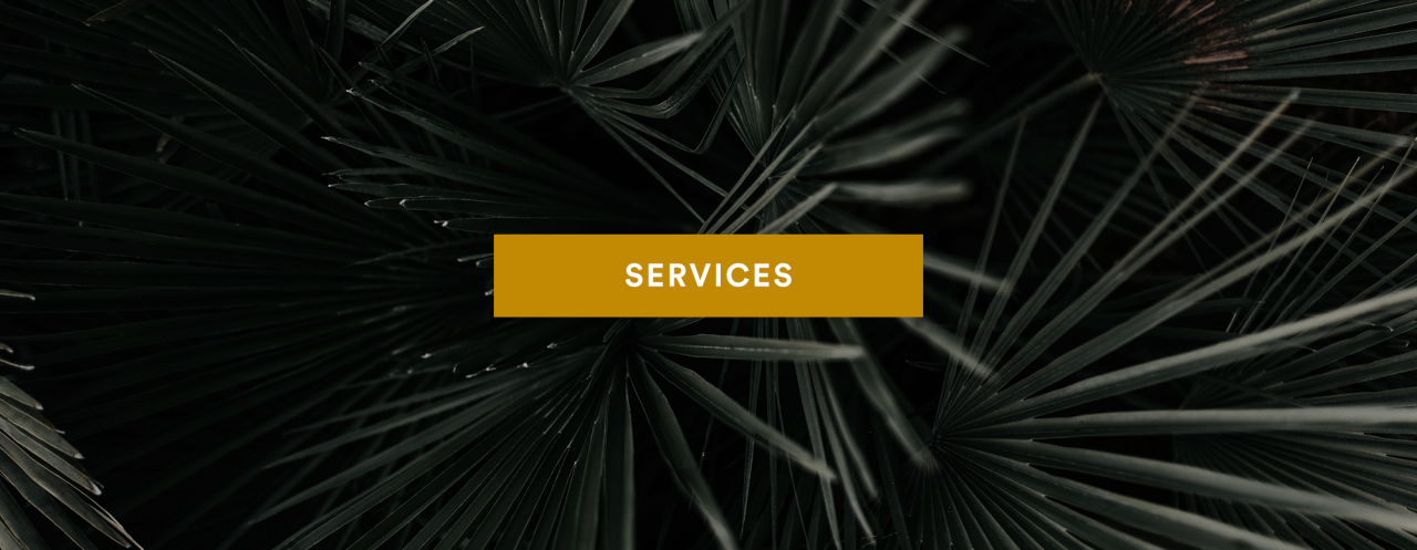 Services | Tiger's Eye Brow Studio