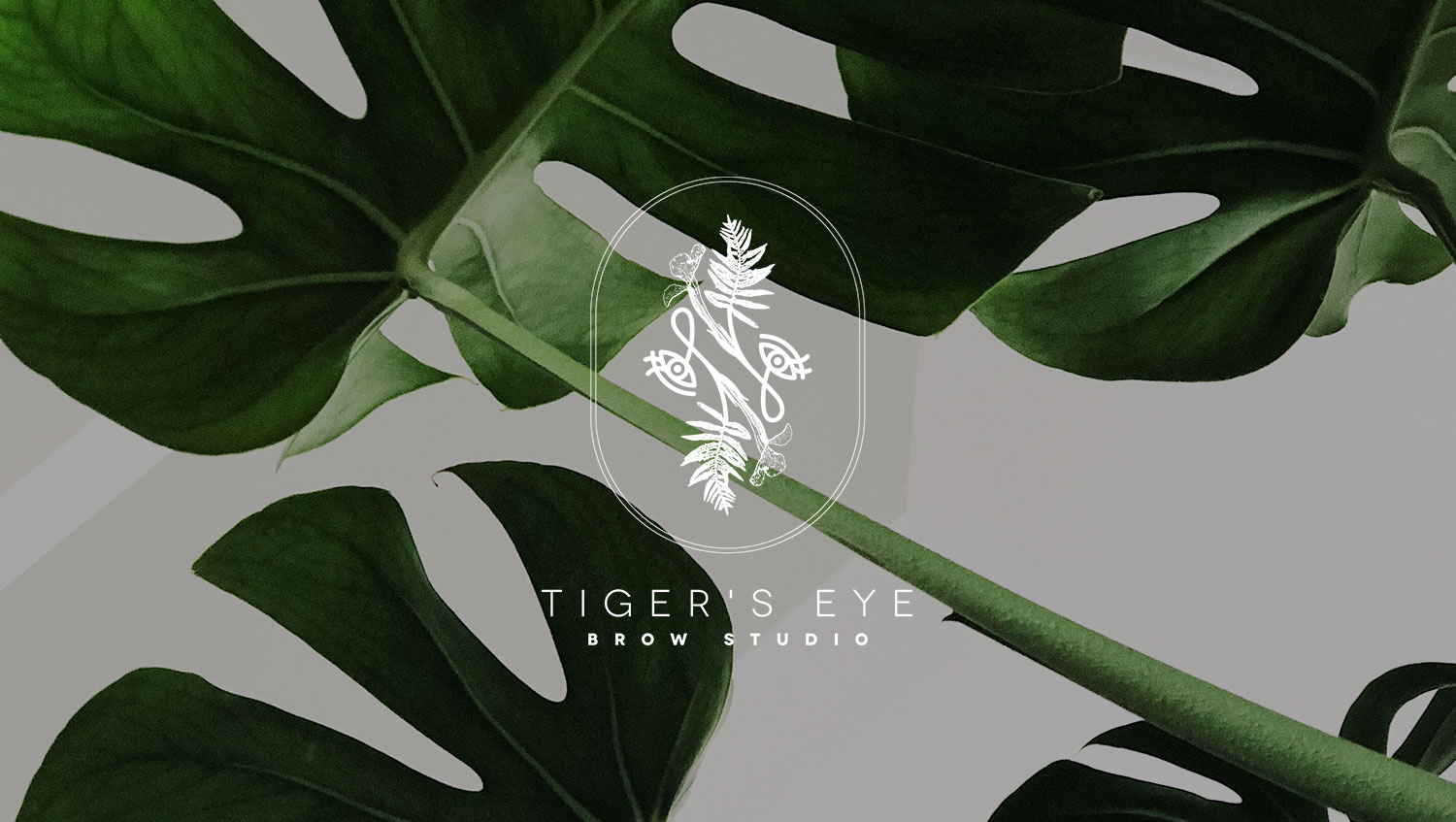 FAQ | Tiger's Eye Brow Studio